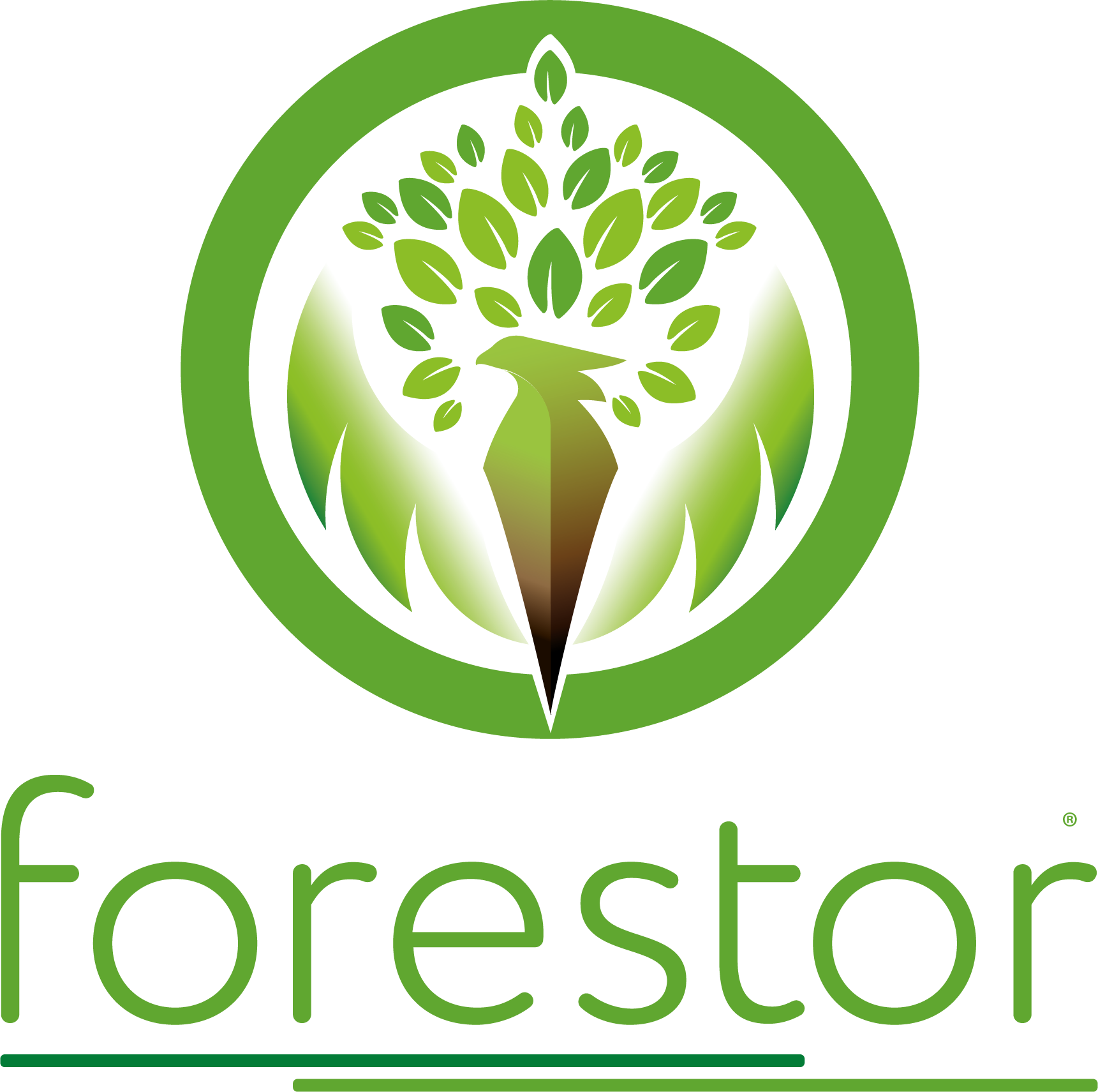 Petit Forestor – Apprendre la forêt en jouant